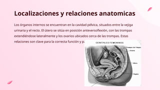 anato y morfo aparato reproductor femenino interno.pptx