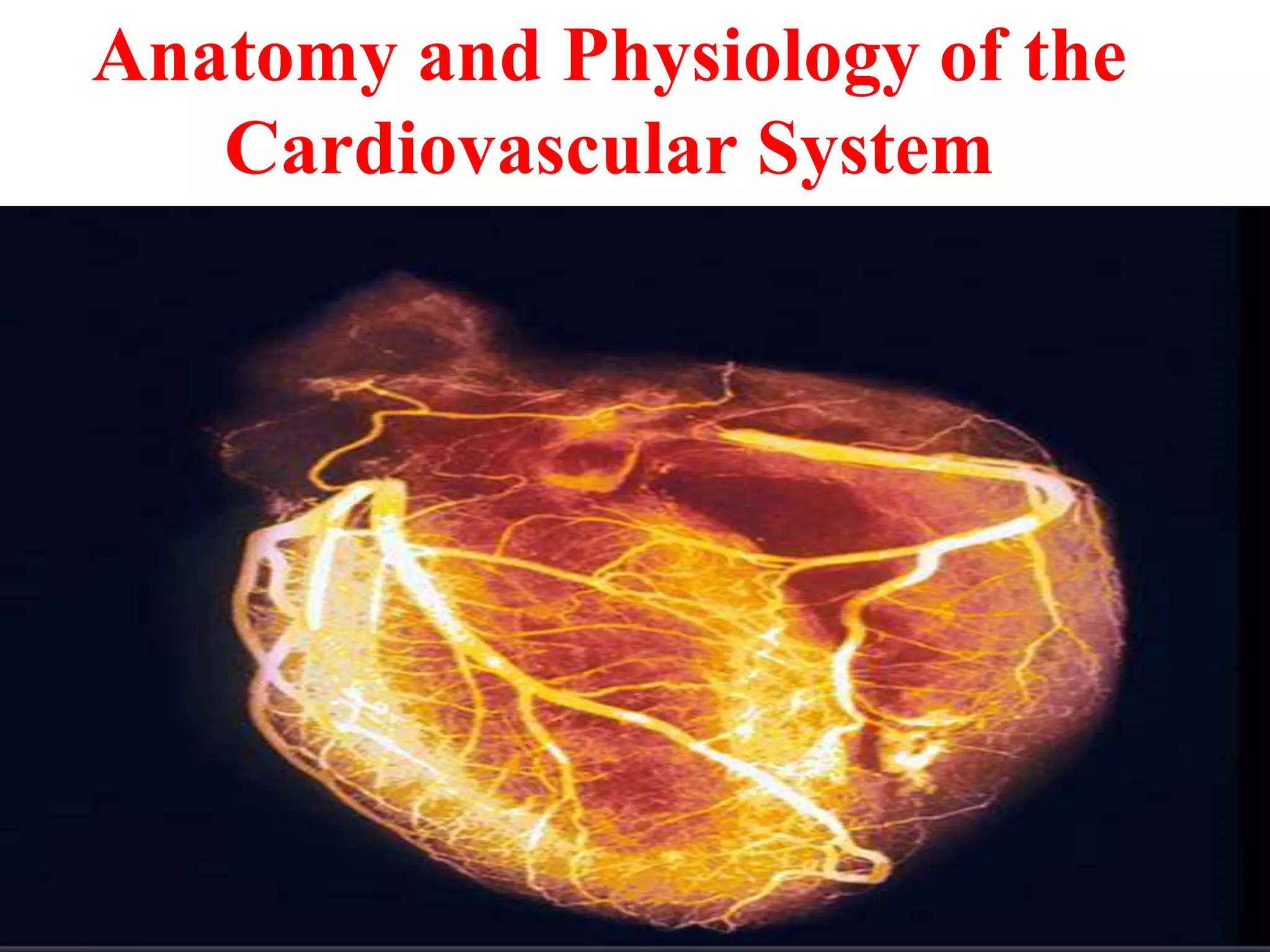Anatomy & physiology of cardiovascular system | PPT