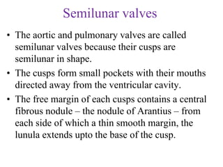 Anatomy & physiology of cardiovascular system | PPT