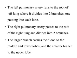 Anatomy & physiology of cardiovascular system | PPT
