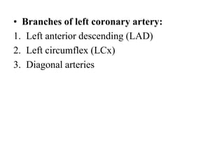 Anatomy & physiology of cardiovascular system | PPT