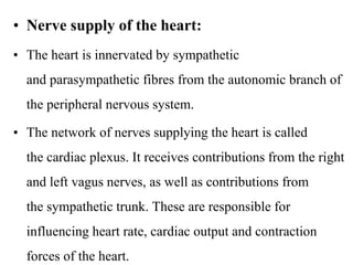 Anatomy & physiology of cardiovascular system | PPT