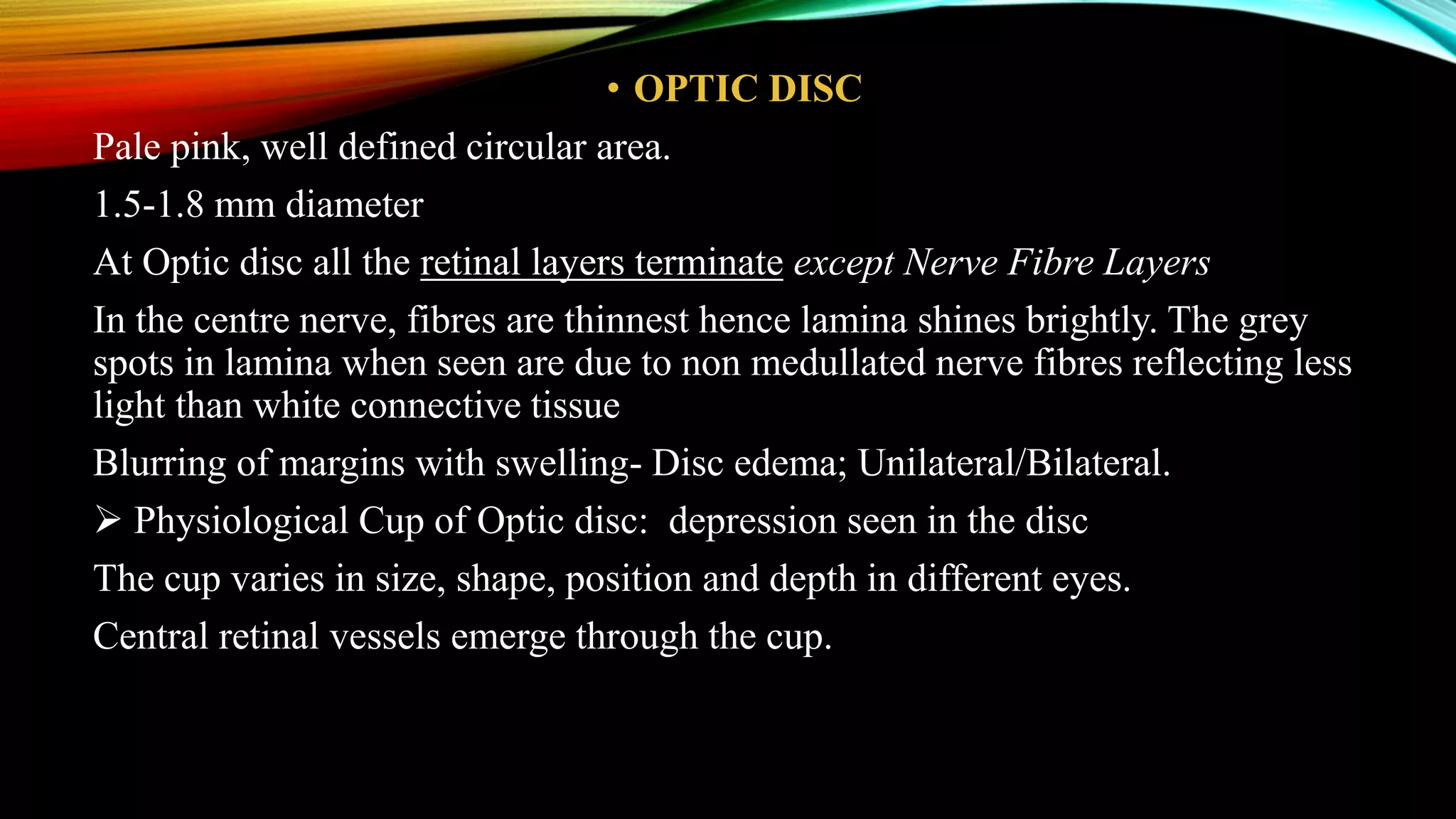 Anatomy and Physiology of retina | PPTX