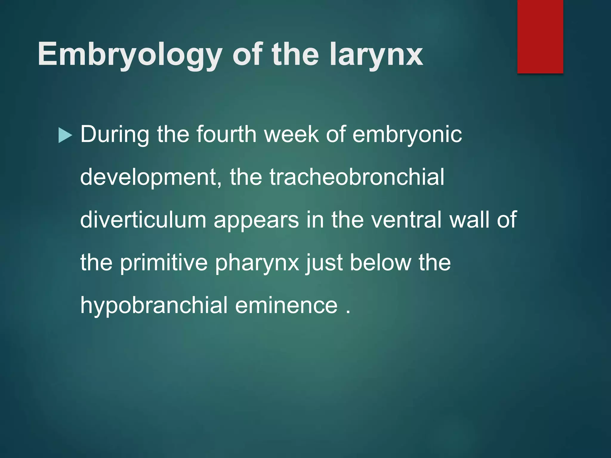 Anatomy and physiology of larynx | PPTX
