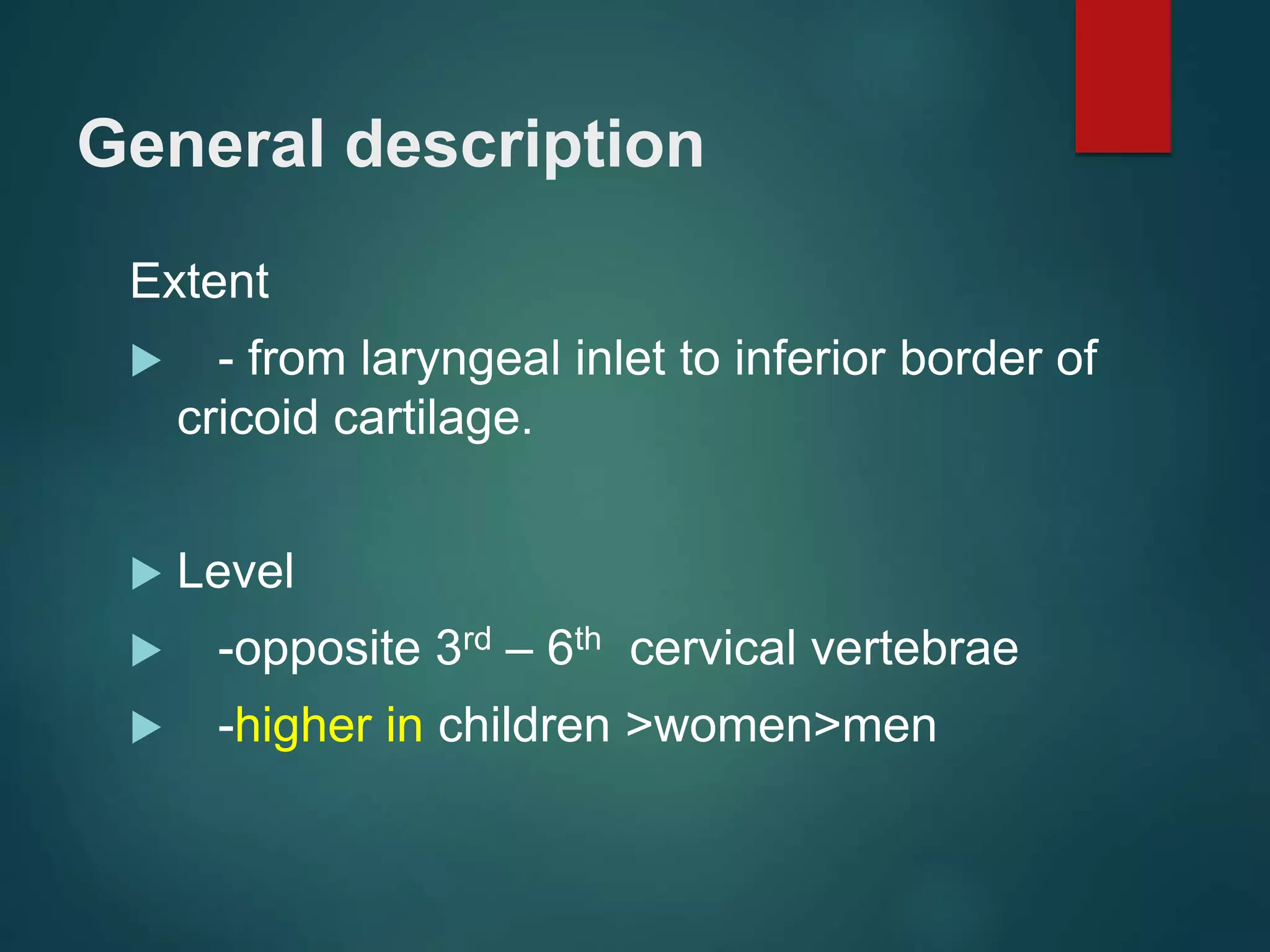 Anatomy and physiology of larynx | PPTX