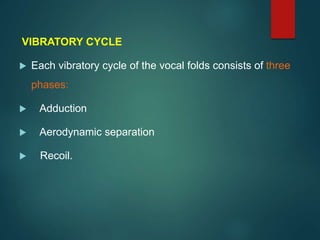 Anatomy and physiology of larynx | PPTX