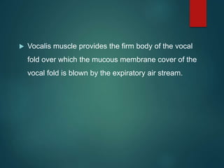 Anatomy and physiology of larynx | PPTX