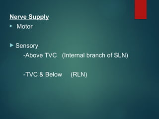 Anatomy of pharynx and applied medicine with management | PPT