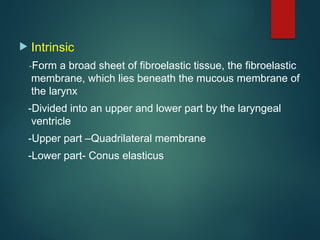 Anatomy of pharynx and applied medicine with management | PPT