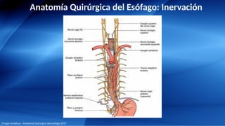 anatomia quirurgica y fisioligia de esofago.pptx