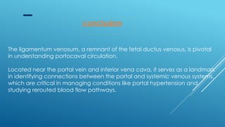 anat seminar upper linmb and thorax.pptx