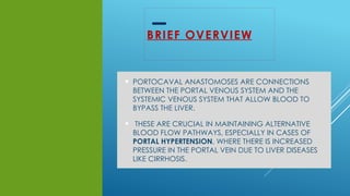 anat seminar upper linmb and thorax.pptx