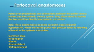 anat seminar upper linmb and thorax.pptx