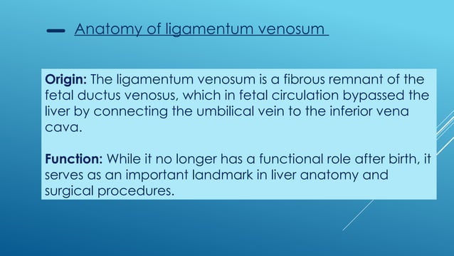 anat seminar upper linmb and thorax.pptx