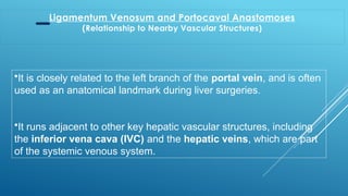 anat seminar upper linmb and thorax.pptx