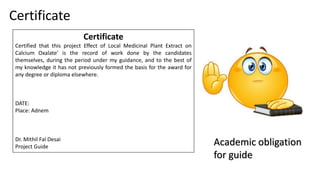 Writing Third Year Project Report: Some Handy Guidelines | PDF