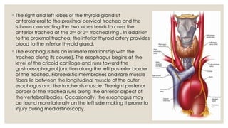 anat trachea 2 (1).pptx dipali pdf new .. | PPTX
