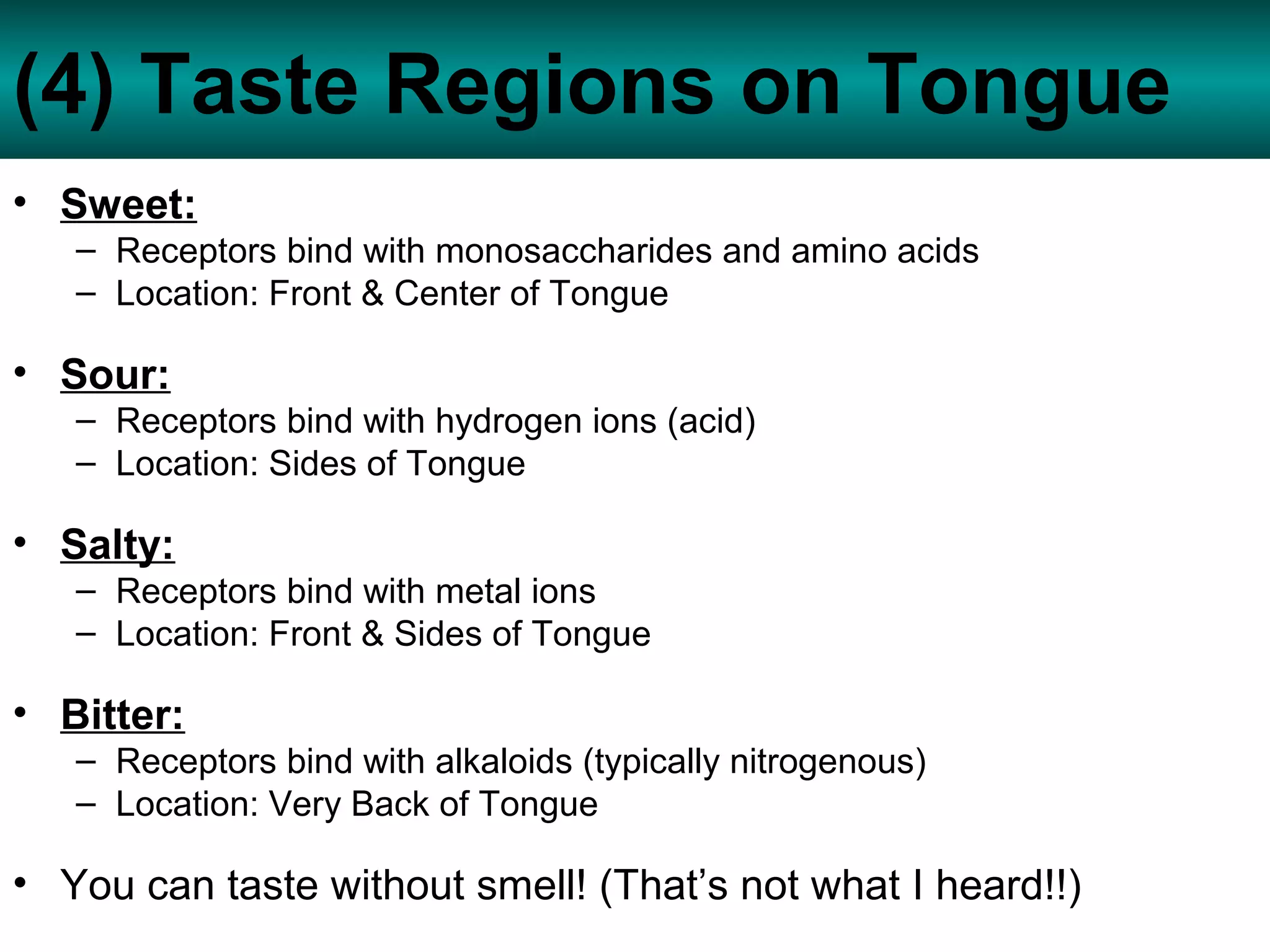 Anat unit 2 taste touch smell notes | PPT