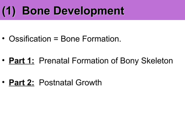 ANAT_unit 4_bone growth and development notes.ppt