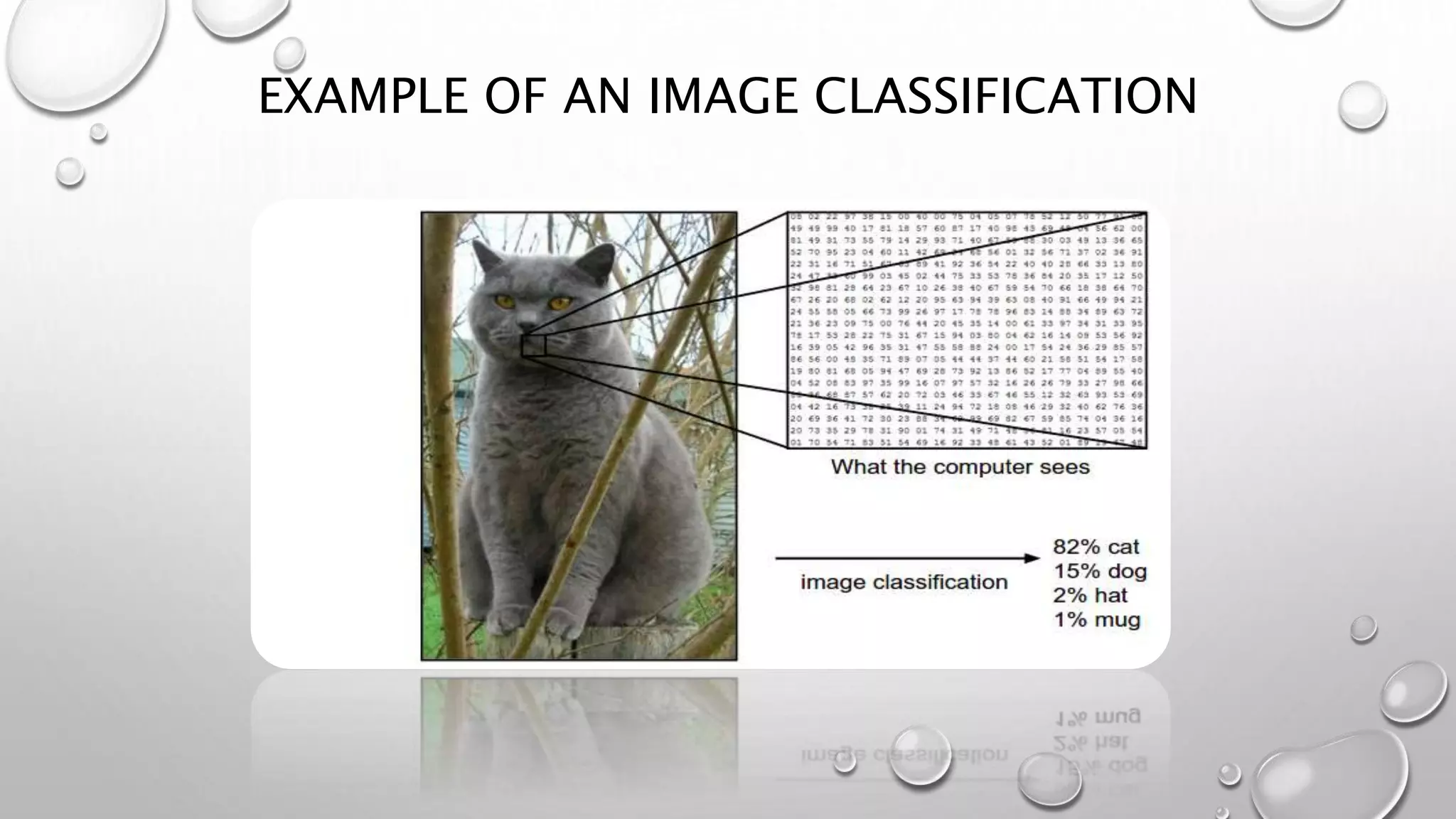 An automatic dermatology diagnosis using convolutional neural network ...