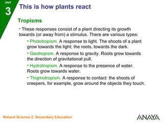 Anaya interaction in plants | PPT