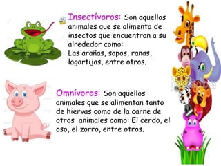 Conociendo los animales | PPTX