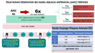 ANC pemeriksaan kehamilan wajib di ketahui | PPTX