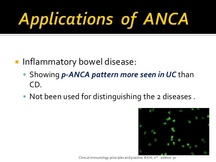 ANCA Anti-neutrophil cytoplasmic antibodies (ANCAs) ANCA Anti-neutrophil cytoplasmic antibodies (ANCAs)