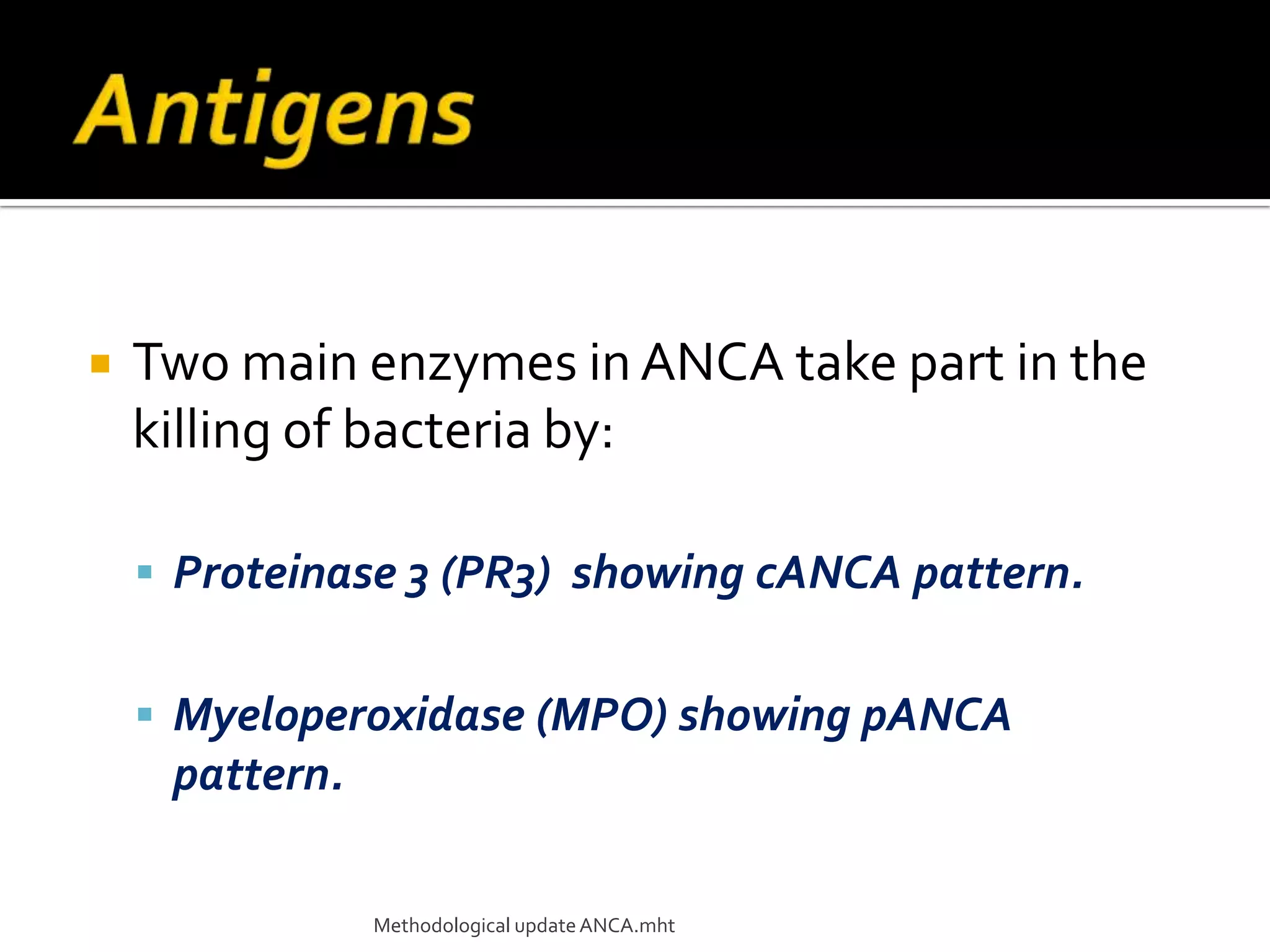 ANCA | PPTX