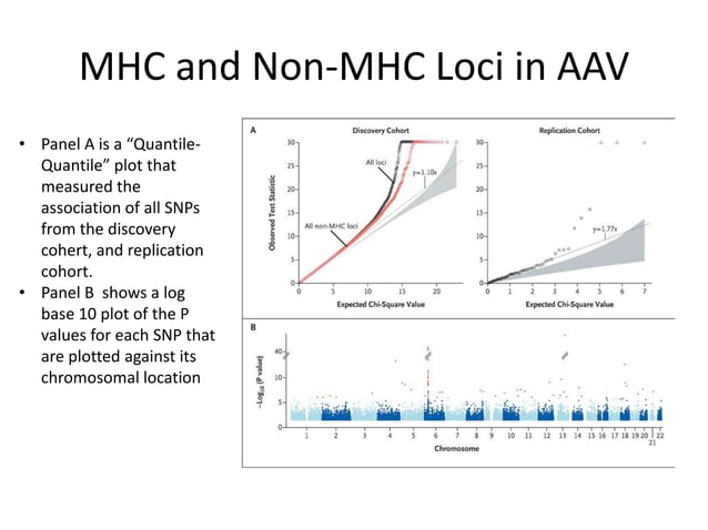 Genetically Distinct differences of ANCA-Associated Vasculitis ...