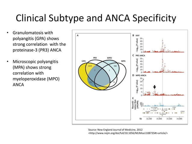 Genetically Distinct differences of ANCA-Associated Vasculitis ...