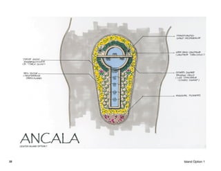 Ancala Entry Book | PDF