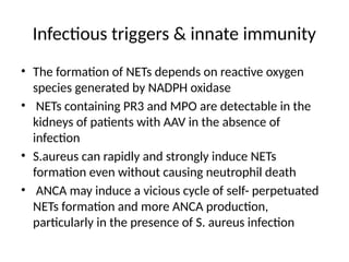 ANCA PATHOGENESIS- A BASIC APPROACH.pptx