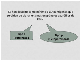 Ancas | PPTX