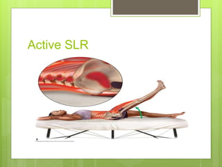 Anc assessment (mpt i) | PPTX