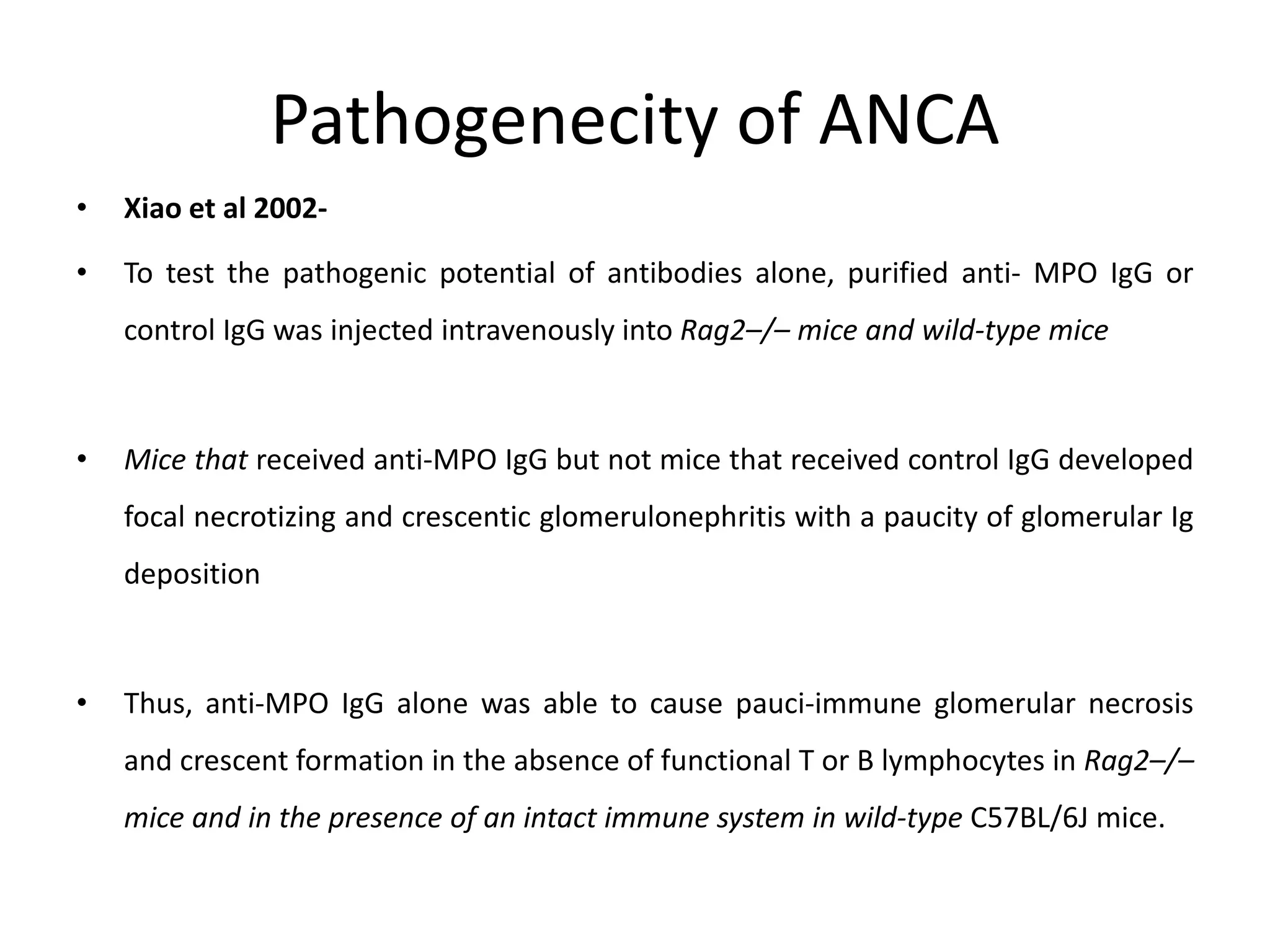Anca testing in small vessel vasculitis | PPTX