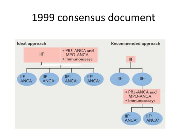 Anca testing in small vessel vasculitis | PPT