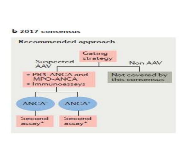 Anca testing in small vessel vasculitis | PPT