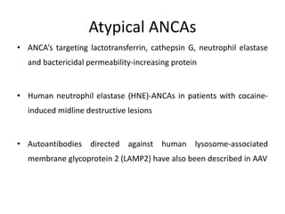Anca testing in small vessel vasculitis | PPTX