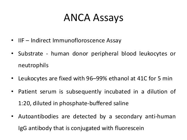 Anca testing in small vessel vasculitis