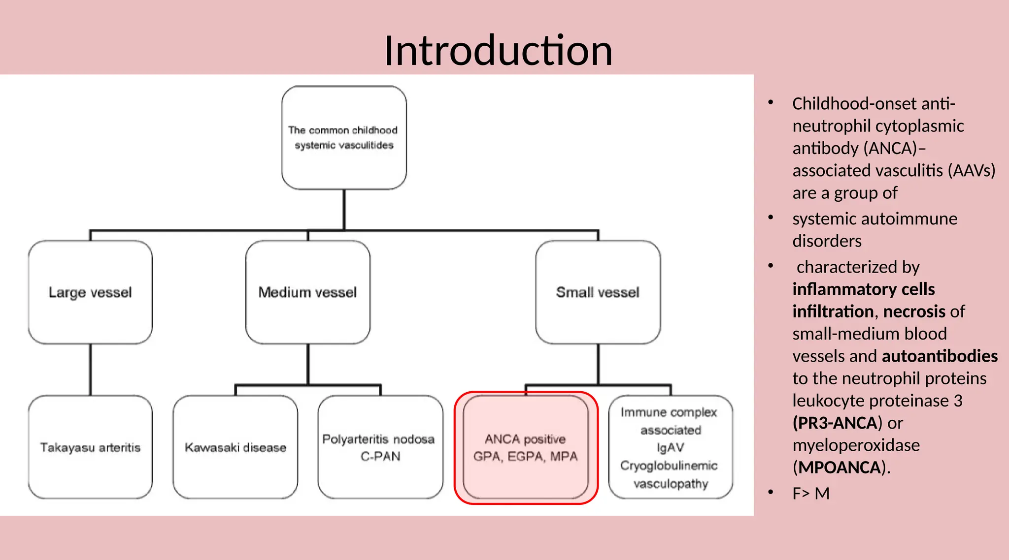 anca vasculitis in pediaric pts .pptx
