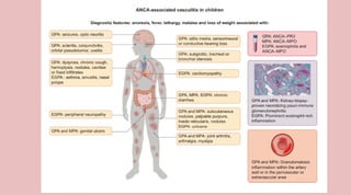 anca vasculitis in pediaric pts .pptx