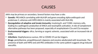 anca vasculitis in pediaric pts .pptx