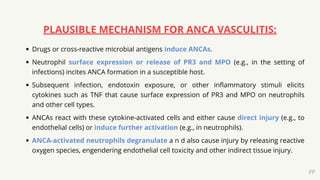 ANCA Vasculitis Management Guidelines Presentation | PDF