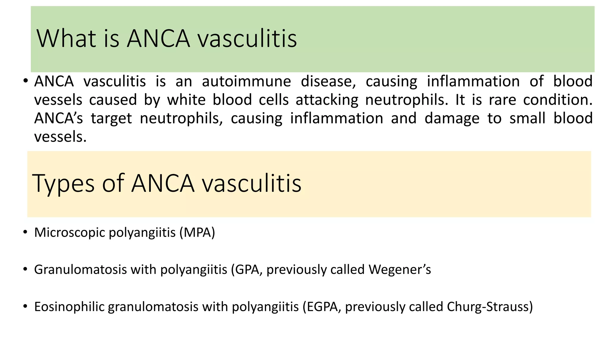 ANCA Vasculitis (2).pptx