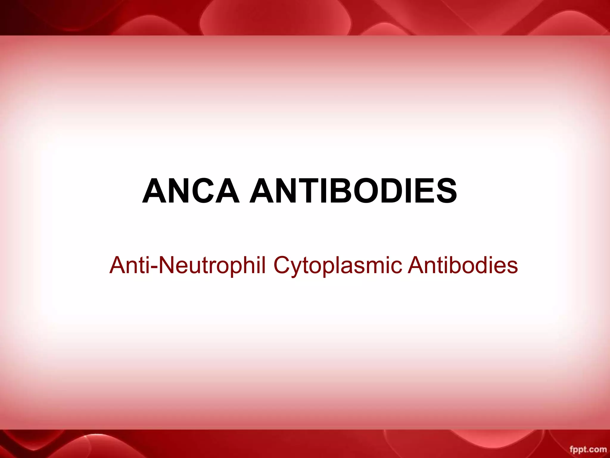 ANCA vasculitis | PPT