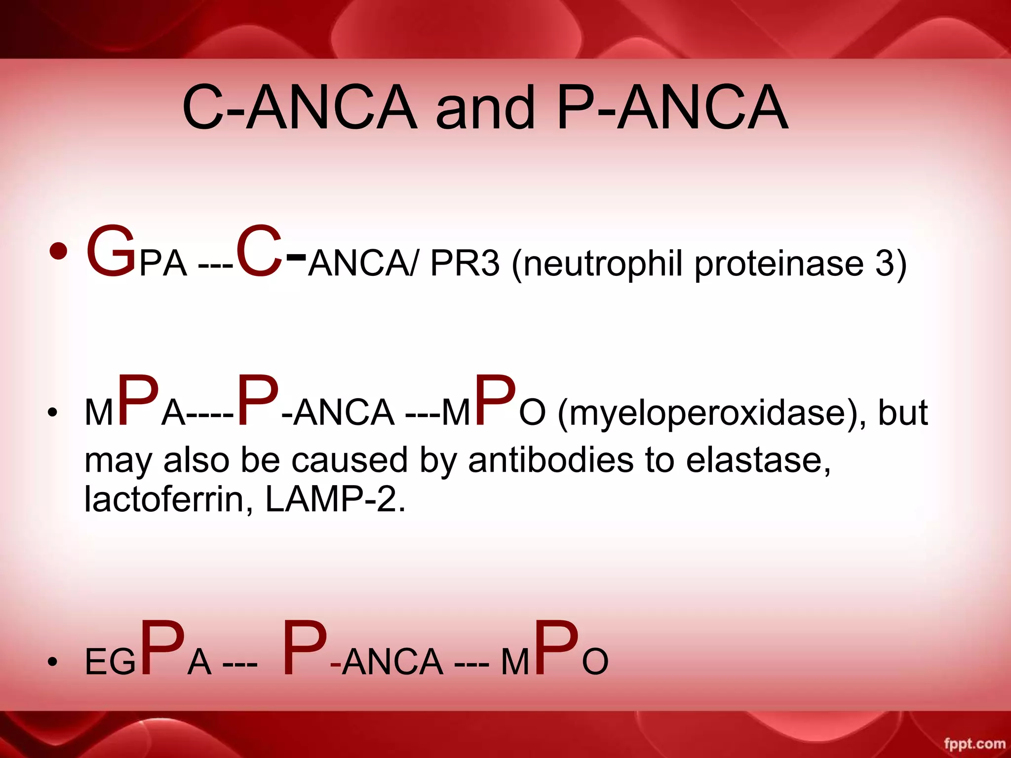 ANCA vasculitis | PPT