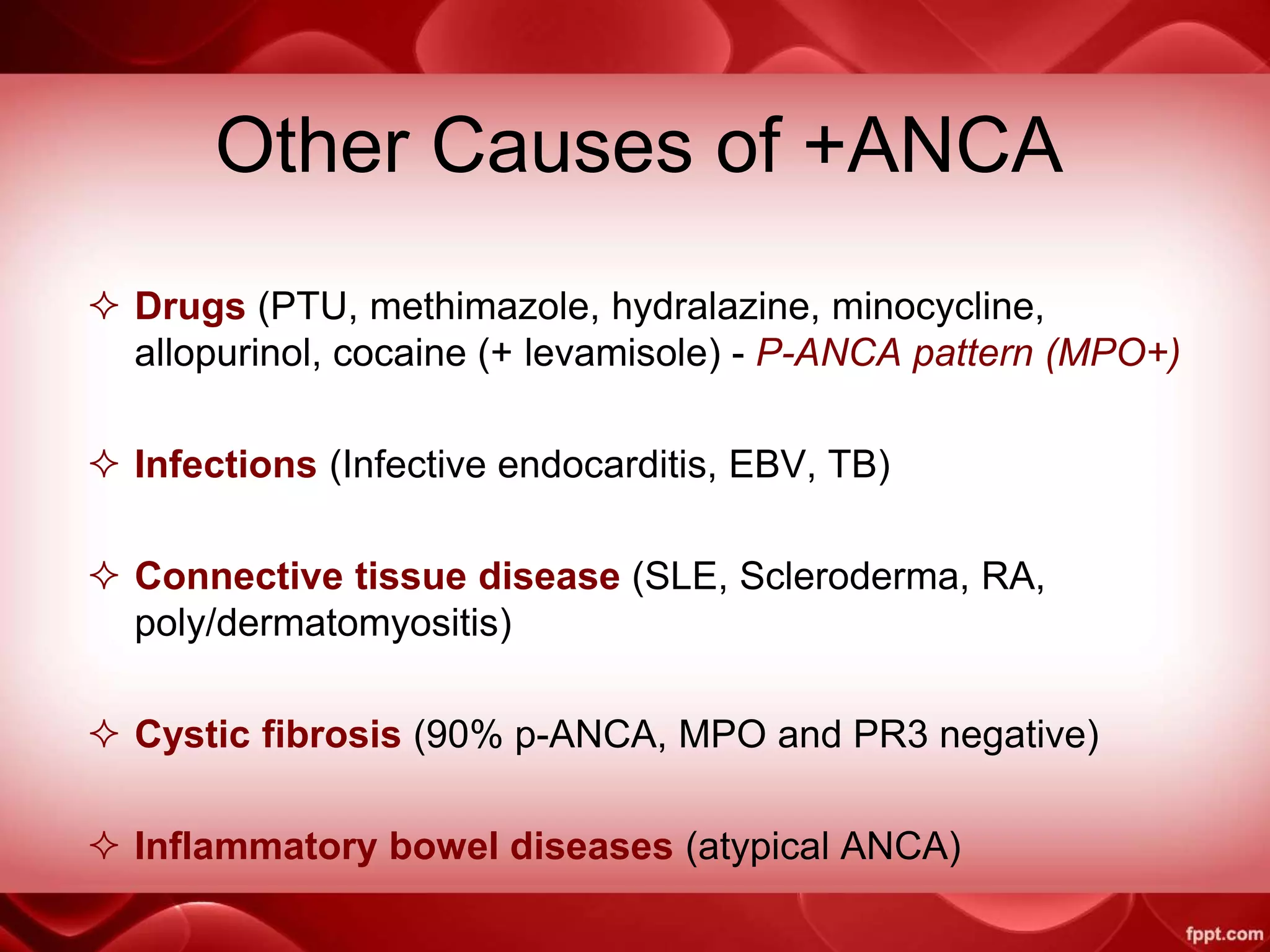 ANCA vasculitis | PPT