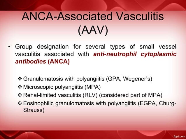 ANCA vasculitis | PPT