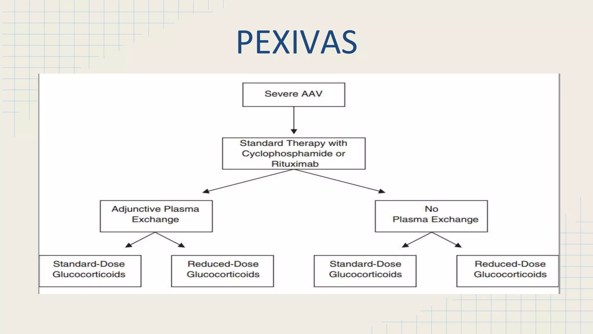 ANCA Associated Vasculitis - An Update 2014 | PPTX